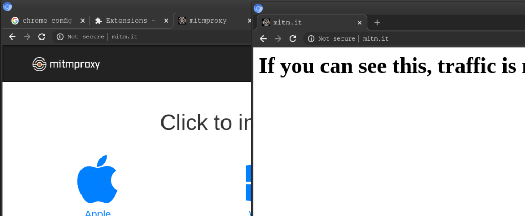 Install Mitm Proxy On Any Linux The Easy And Proper Way Man In The Middle Proxy Server For Arch